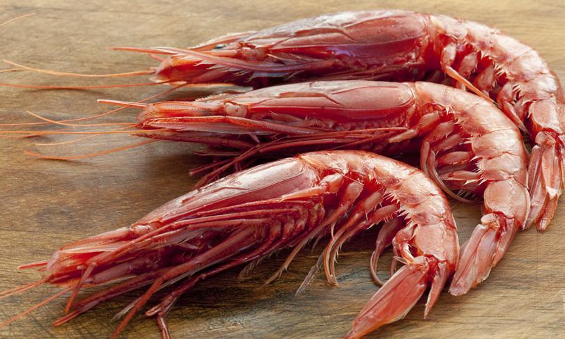 കോവിഡ്:കേരളത്തിലെ ചെമ്മീൻ കൃഷിക്ക് 308 കോടി നഷ് ടം | prawns sector loss ...