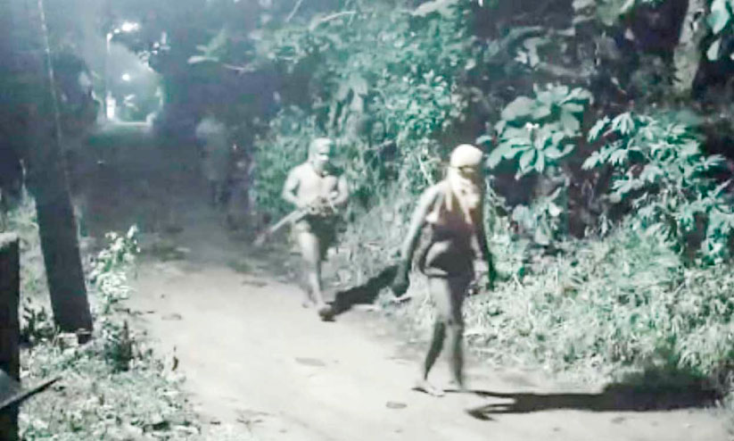 അതിരമ്പുഴയെ ഭീതിയിലാക്കി കുറുവ സംഘം? | Kuruva gang frightens ...