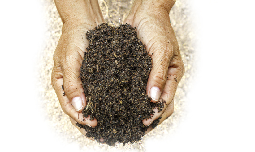 ഭൂമിയുടെ മനസ്സാണ് മണ്ണ് | Soil is the mind of the earth | Madhyamam