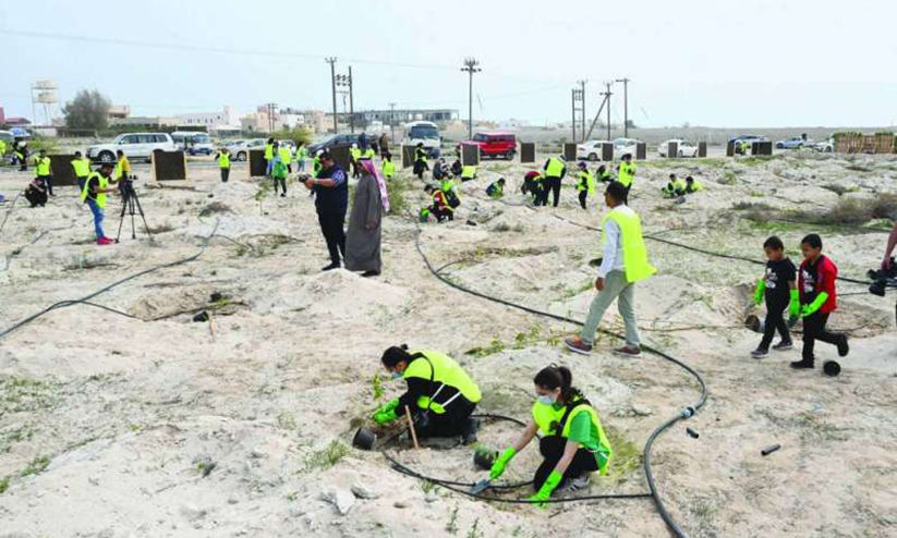 മ രു ഭൂ മി യി ൽ കാ ട് തീ ർ ക്കാ ൻ കു വൈ ത്ത് | Kuwait to clear the ...