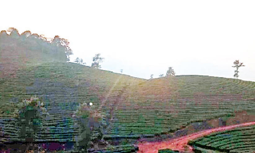 ദൃശ്യവിരുന്നൊരുക്കി അട്ടമലയിലെ സൂര്യാസ്തമയം | Sunset at Attamala ...