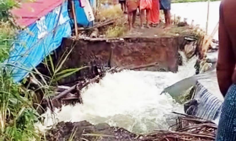 കുട്ടനാട്ടിൽ മടവീഴ്ച; ലക്ഷങ്ങളുടെ നഷ്ടം | Kuttanad collapse; Loss of ...