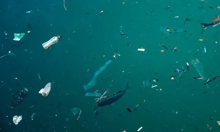 Fish robots to eat plastic Chinese scientists develop robot fish that ...