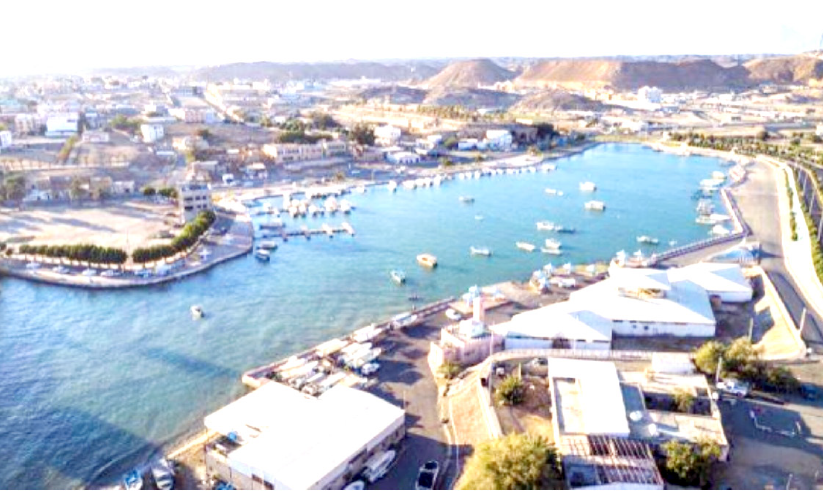 Dubai port management handed over to Neom Company | The management of ...