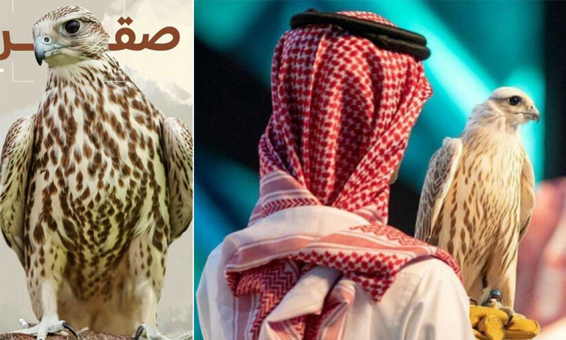 റിയാദിൽ അന്താരാഷ്ട്ര ഫാൽക്കൺ മേള സമാപിച്ചു | Saudi Falcons Club ...