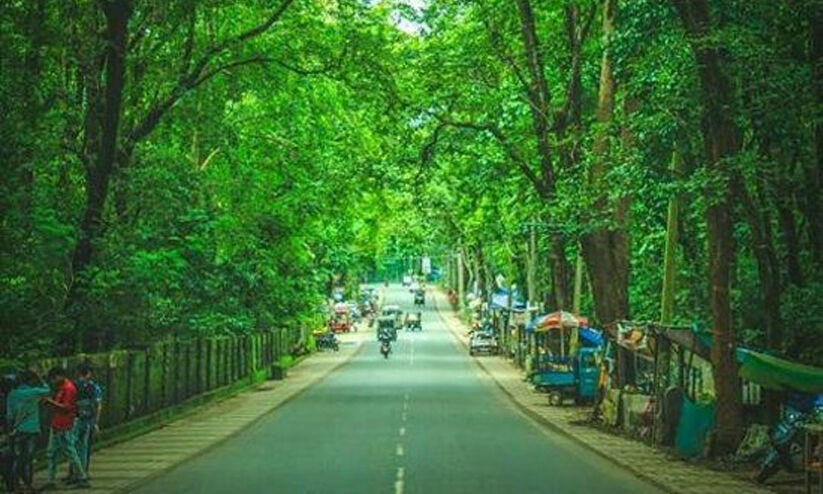 നിലമ്പൂർ യുനെസ്‌കോയുടെ ലേണിങ് സിറ്റി പട്ടികയില്‍ | Nilambur is in UNESCO's Learning City list ...