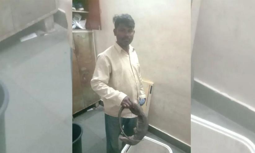 ചത്ത ഉടുമ്പിനെ കടത്താൻ ശ്രമിച്ച യുവാവ് പിടിയിൽ; കാരണമറിഞ്ഞ് അമ്പരന്ന് ...