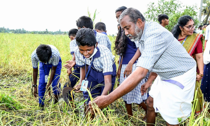 കൃഷിഭവനിൽ മൂല്യവർധിത ഉൽപന്നം ഒരുക്കും -മന്ത്രി പി. പ്രസാദ് | Value ...