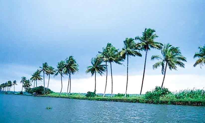 ക ട ലി ൽ നി ന്ന് ഉ യി ർ കൊ ണ്ട ക ര പ്പു റം | entire Chertala area was ...