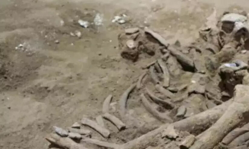 കുഞ്ഞുണ്ടാകാൻ മനുഷ്യ അസ്ഥി പൊടിച്ച് തീറ്റിച്ചു; ഭാർത്താവും വീട്ടുകാരും ...