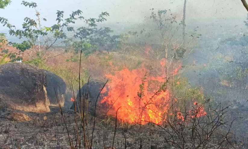 മരുതിമലയിൽ പുല്ലിന് തീപിടിച്ചു; സഞ്ചാരികൾ ഓടി രക്ഷപ്പെട്ടു | The grass ...