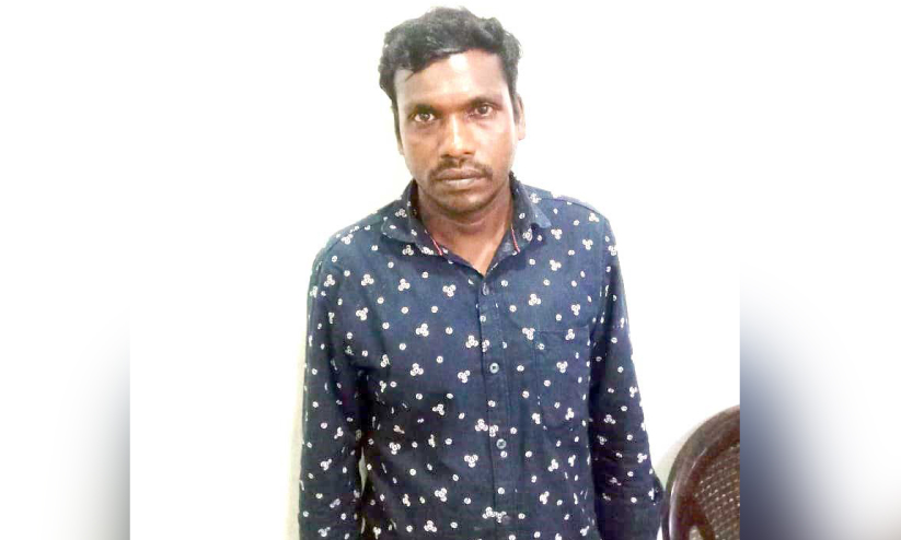 ഓപറേഷൻ പി ഹണ്ട് ; ഒരാൾ അറസ്റ്റിൽ | Operation P Hunt; One person was ...