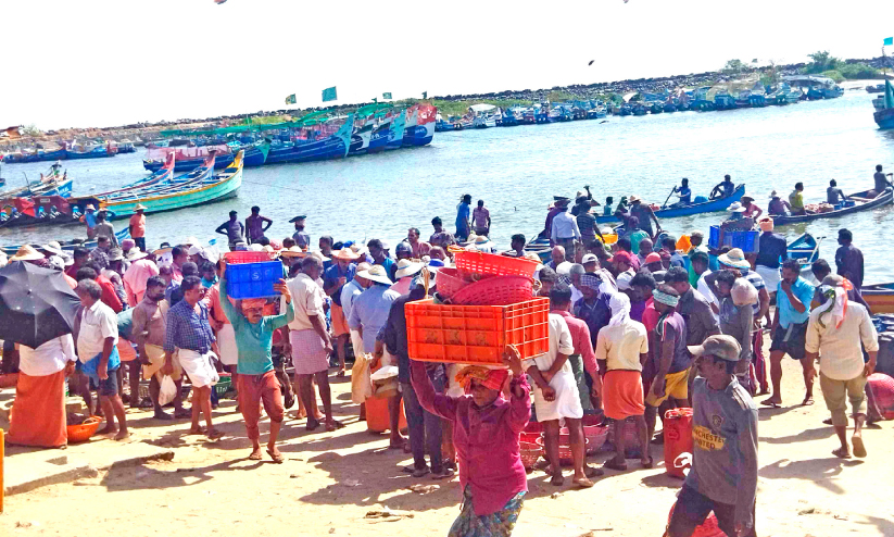 വികസനം കാത്ത് ചോമ്പാല മത്സ്യബന്ധന തുറമുഖം | Chombala fishing port ...