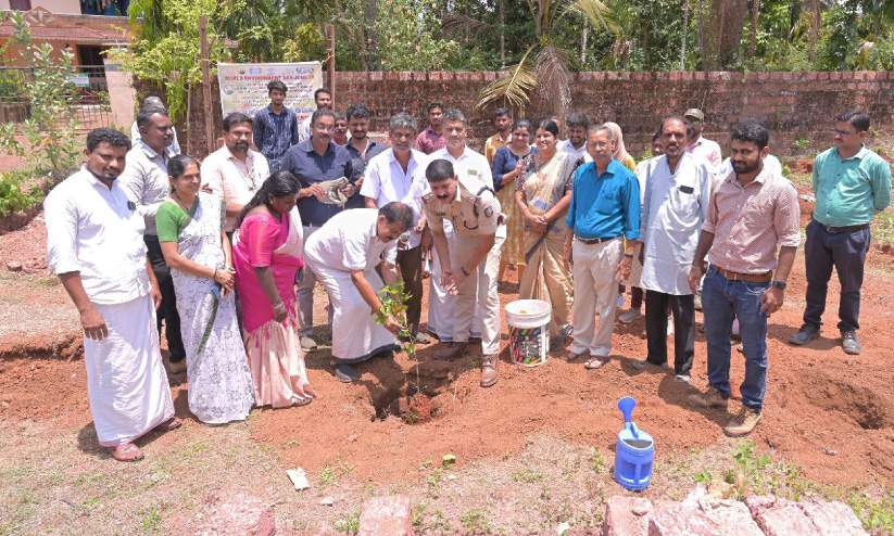 റോഡുവികസനത്തിന് മുറിച്ചുമാറ്റിയ മരങ്ങൾക്കു പകരം നട്ടുപിടിപ്പിക്കാ ...
