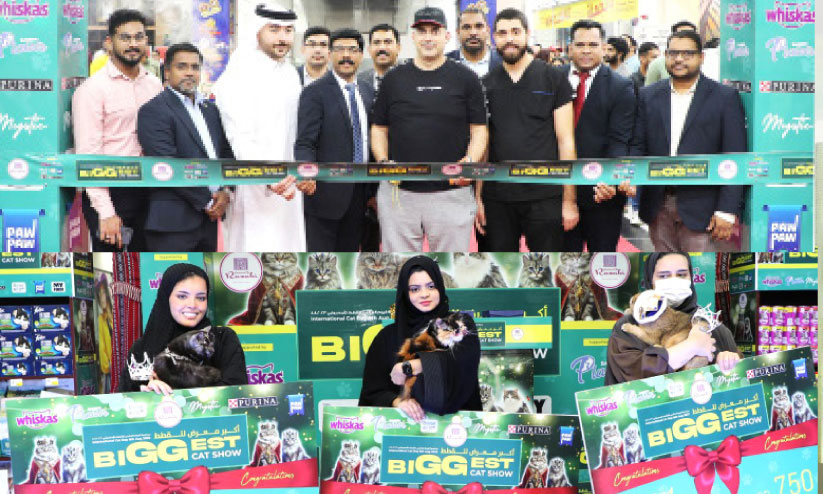 Qatar's Biggest Cat Show Celebrates International Cat Day at Rawabi ...