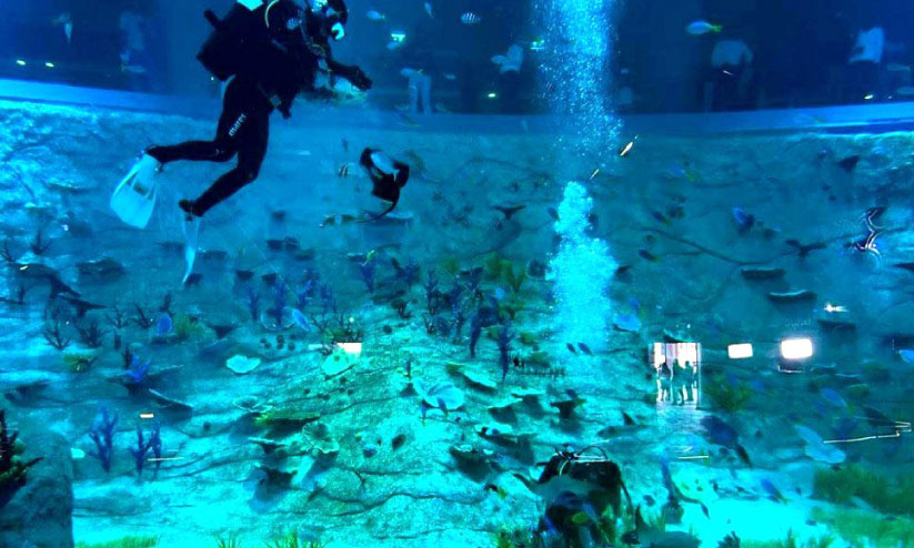 Discover the Grand Cruise Terminal and City Gallery in Doha: A Stunning ...