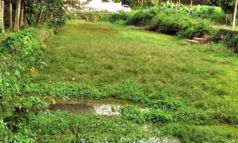 പോളച്ചിറ നശിക്ക ുന്ന ു; അധികൃതർ ഇനിയെങ്കിലും ഉണരുമോ | Polachira ...