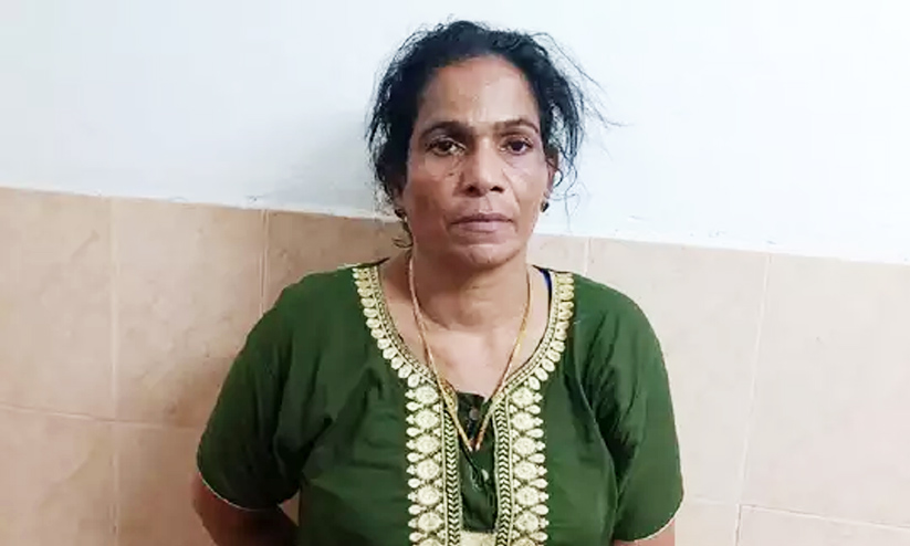 കാപ്പ തടങ്കലിലുള്ള പൂമ്പാറ്റ സിനിയെ മോചിപ്പിക്കാൻ ഉത്തരവിട്ട് ഹൈകോടതി ...