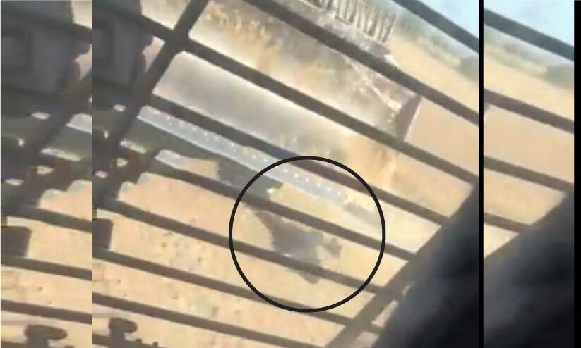 ഫലസ്തീനിയുടെ ദേഹത്ത് സൈനിക ടാങ്ക് കയറ്റി ഇസ്രായേലി ക്രൂരത | israel ...