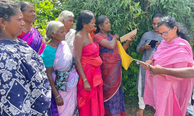 ആദിവാസി ഭൂമി കൈയേറ്റം: കെ.കെ രമ അട്ടപ്പാടിയിലെത്തി വസ്തുതാന്വേഷണം ...