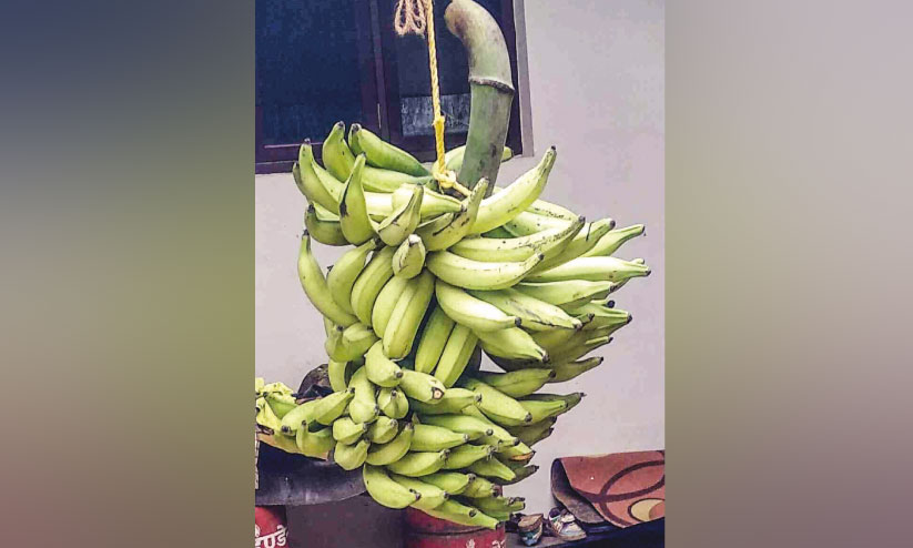 അ മ്പ മ്പോ വ മ്പ നീ വാ ഴ ക്കു ല | Vazhakula | Madhyamam