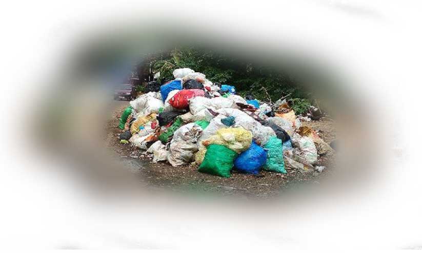 ‘ഹൗ സ് ഫു ള്ളാ യി’ എം. സി. എ ഫ് കു ന്നു കൂ ടി ദു രി തം | Tonnes of ...