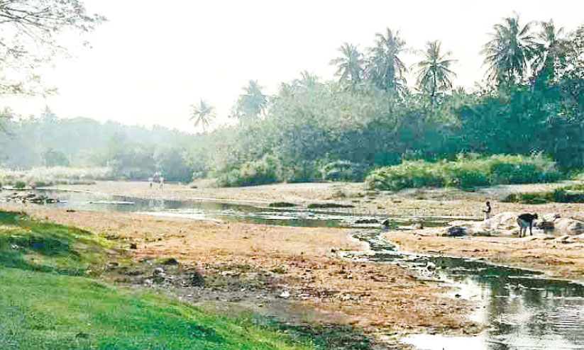 വേ ന ലെ ത്തും മു ന്നേ വ ര ള്‍ച്ച യു ടെ പി ടി യി ല്‍; കു ന്തി പ്പു ഴ ...