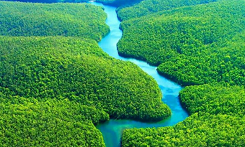 Amazon Rainforest Deforestation Rates Drop to Five-Year Low: 2023 ...