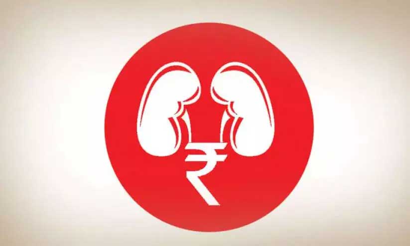 വൃക്ക വാണിഭം: വീണ്ടും വെളിപ്പെടുത്തലുമായി നിടുംപൊയിലിലെ യുവതി | Kidney ...