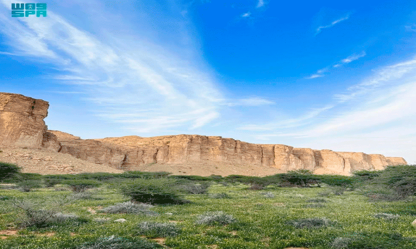 റിയാദിലെ മലയാട് സംരക്ഷിത പ്രദേശം ഐ.യു.സി.എൻ ഗ്രീൻ ലിസ്റ്റിൽ | Ibex ...