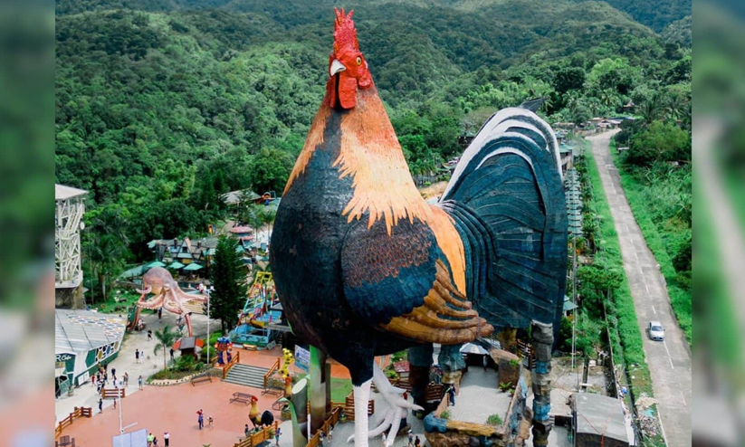 കണ്ടാലൊരു കോഴി, എന്നാലിതൊരു ഹോട്ടൽ; ഇടംപിടിച്ചത് ഗിന്നസ് റെക്കോഡി ...