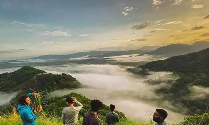 2024 ലേക്ക് തിരിഞ്ഞുനോട്ടം; രൗദ്രം കാടിറങ്ങിയ വർഷം | Rewind 2024; wild ...