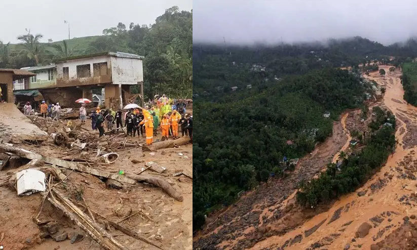 മുണ്ടക്കൈ - ചൂരൽമല ഉരുൾപൊട്ടൽ : രണ്ടാംഘട്ട കരട് 2 - ബി പട്ടിക ...
