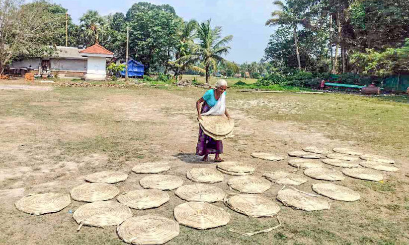 തഴയില്‍ ജീവിതം നെയ്തെടുക്കുന്നതിന്‍റെ സംതൃപ്തിയിൽ അംബുജം | Ambujam is ...