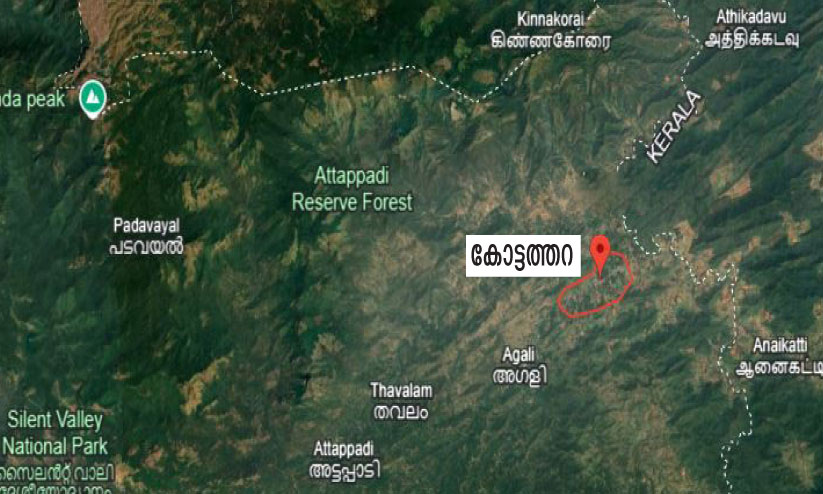 അട്ടപ്പാടിയിൽ ഭൂപരിഷ്കരണത്തിന് പുല്ലുവില; നിയമവിരുദ്ധമായി 575 ഏക്ക ...