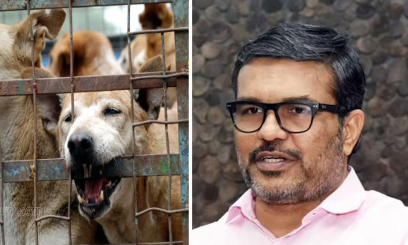 'തെരുവുനായ്ക്കളെ പാർപ്പിക്കാൻ ഷെൽട്ടർ ഹോമുകൾ കേരളത്തിൽ പ്രായോഗികമല്ല ...