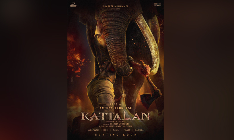 'ആനയും മനുഷ്യനും മുഖാമുഖം': ആനക്കൊമ്പ് കൈയിലേറി പെപ്പെ; 'കാട്ടാള ...