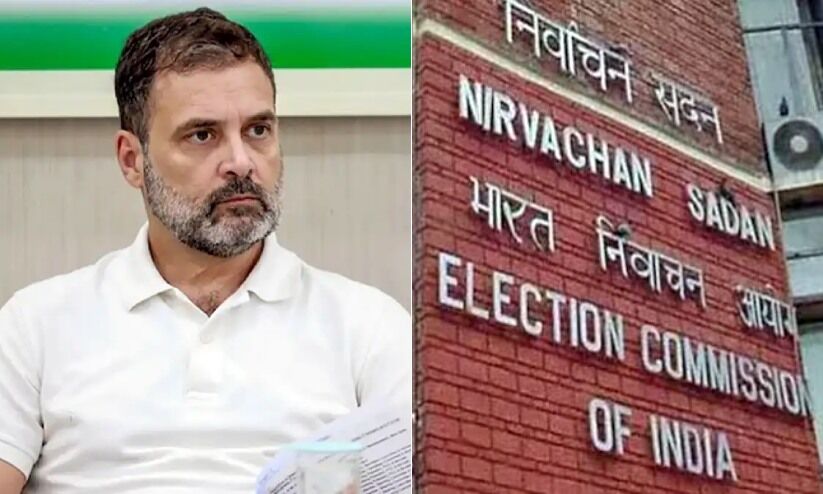 ‘തികച്ചും അസംബന്ധം’; രാഹുൽ ഗാന്ധിയുടെ ‘മാച്ച്-ഫിക്സിങ്’ വാദത്തെ തള്ളി ...