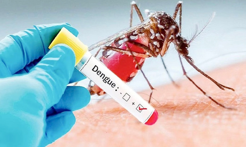 ഡെ ങ്കി പ്പ നി; ക രു തി യി രി ക്കാം | Dengue fever; may be contagious ...