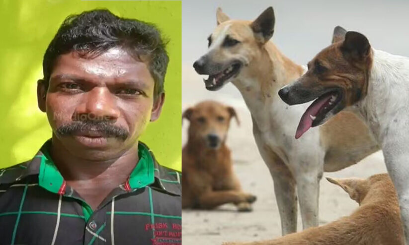 അതിരപ്പിള്ളി വാഴച്ചാലിൽ പനി ബാധിച്ച് മരിച്ചയാൾക്ക് പേവിഷബാധ ...