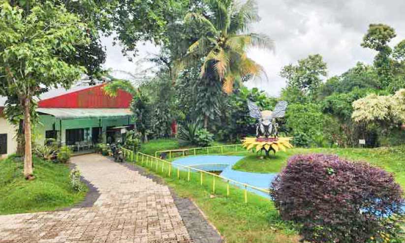 ഹണി മ്യൂസിയമാകാൻ തേൻ കിനിയും തേനീച്ച പാർക്ക് | Kallimel Beekeeping ...