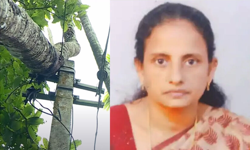 കൃഷിയിടത്തിൽ പൊട്ടിവീണ വൈദ്യുതി കമ്പിയിൽനിന്ന് ഷോക്കേറ്റ് യുവതിക്ക് ...