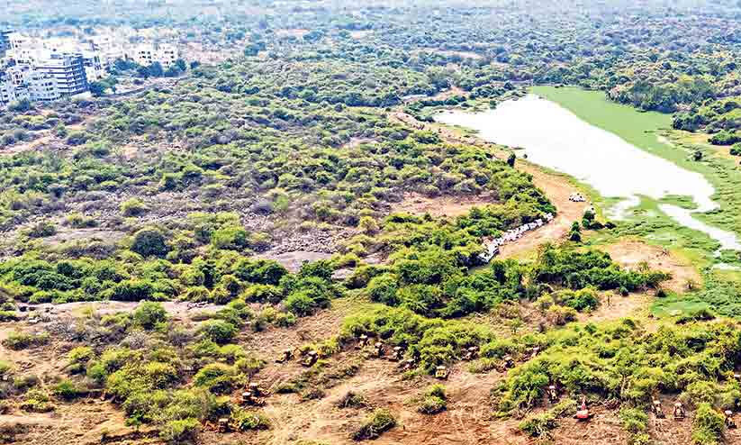 കാഞ്ച ഗച്ചി ബൗളിയിൽ വെട്ടി നിരത്തിയ 400 ഏക്കർ വന ഭൂമിയിൽ മരംവെച്ചു ...