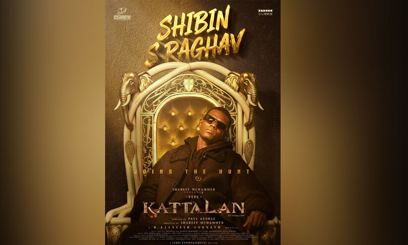 ഡയലോഗും പേരും വേണ്ട, അപ്പിയറൻസ് തന്നെ ധാരാളം; ലോകയിലെ സോഫയിൽ നിന്നും സിംഹാസനത്തിലേക്ക് ഈ നട ...