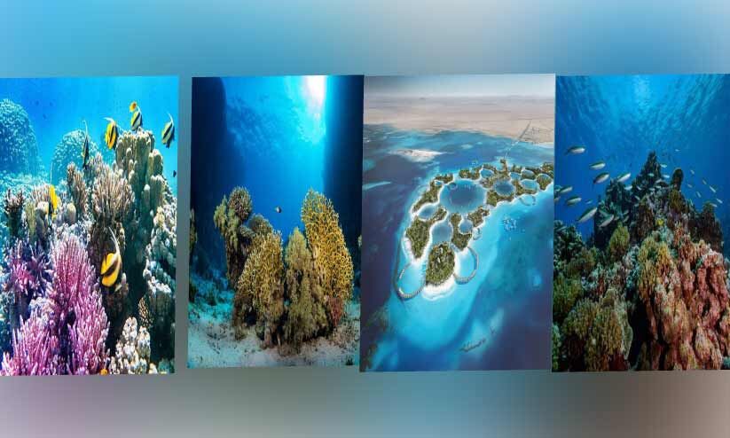 ദേ ശീ യ റി സ ർ വ് പ ട്ടി ക യി ൽ പു തി യ സ്ഥ ല ങ്ങ ൾ | New places in the ...