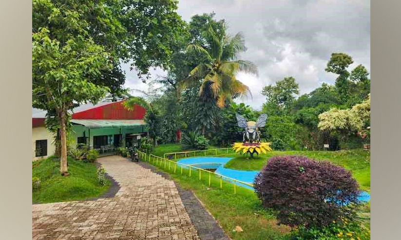 മധുരമൂറുന്ന കല്ലിമേലെ തേനീച്ച പാര്‍ക്ക് | Honey-dripping Bee Park on ...